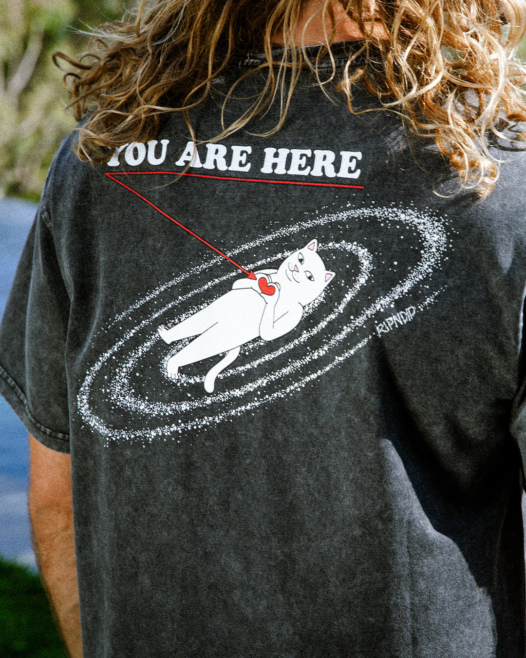 Official Ripndip - Apparel, Accessories, Skate, & Lord Nermal – RIPNDIP