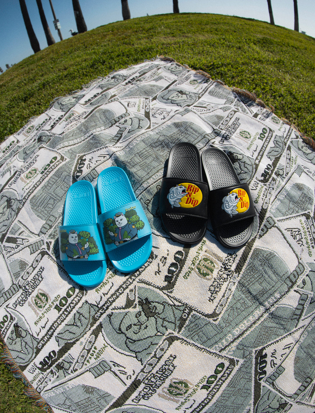 Official Ripndip - Apparel, Accessories, Skate, & Lord Nermal – RIPNDIP
